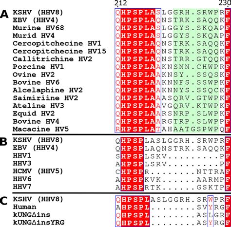 Sequence Alignments Of Ung Leucine Loops Adapted From Espript Web
