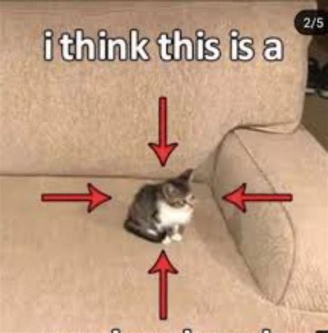 Kitten Nuke Memes Imgflip