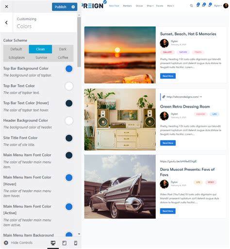 Colors Scheme Wbcom Designs Docs