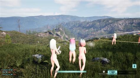 Nyankofeti Automata Final