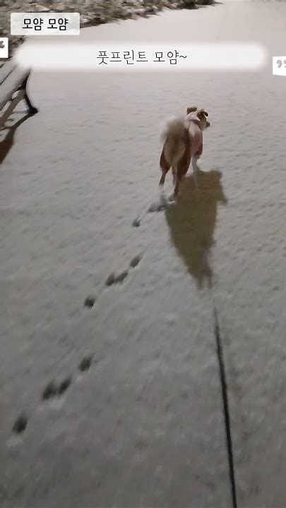 풋프린트 화가 Youtube