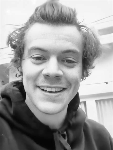 Pin By 𝐅 𝐋 𝐈 𝐂 𝐊 𝐄 𝐑 On •°☆harry Styles Harry Styles Dimples Style
