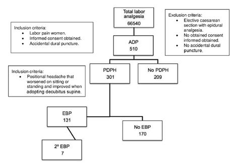 Epidural Chart Ponasa