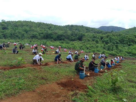 မိုင်းစံမြို့ ခလရ ၁၅၀ ခြေလျင်တပ်ရင်း၌ ပထမအကြိမ် မိုးရာသီ စုပေါင်းသစ်ပင်စိုက်ပျိုးပွဲ ကျင်းပ