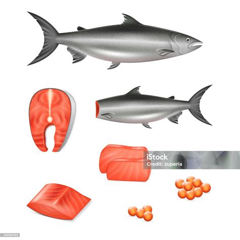 현실적인 생 연어 세트 전체 생선 껍질을 벗긴 필레 레스토랑 메뉴를위한 스테이크 캐비어 해양 식사 건강한 식생활에 대한 스톡 벡터 아트 및 기타 이미지 Istock