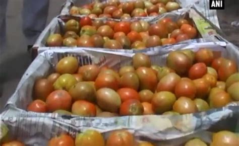 印度西紅柿價格瘋漲菜市場派兵持槍保衛西紅柿 每日頭條