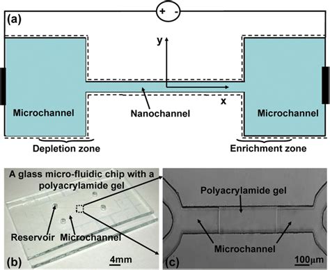 Geometrical Model For Numerical Simulation And Micronanofluidic Chip