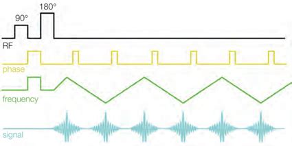 EPI Flashcards Quizlet
