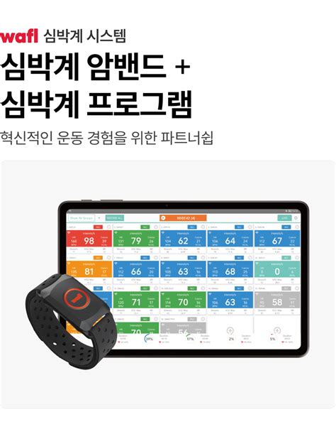 Wafl 심박계 시스템이란 Wafl 심박계 시스템