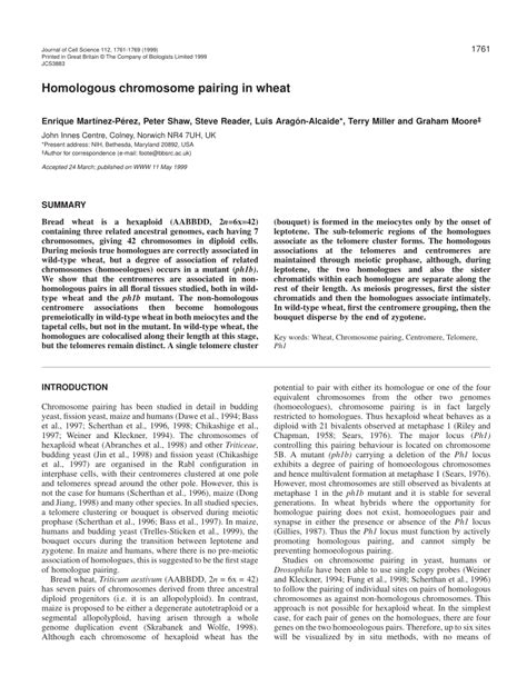 Pdf Homologous Chromosome Pairing In Wheat