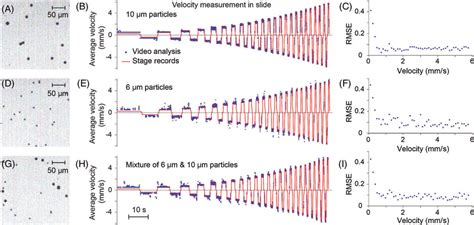 Verification Of Velocity Measurement Using The Particle Tracking