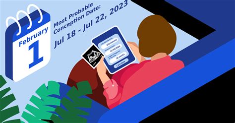 Conception Date Calculator Calculatorio