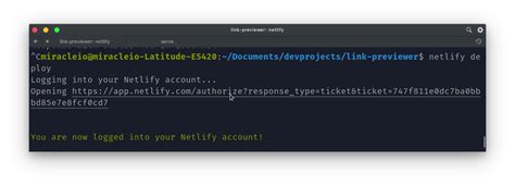 Build A Link Previewer With Puppeteer Serverless Functions SitePoint