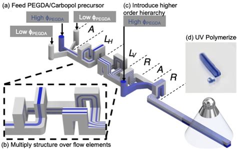 Processing And Technology Soft Materials Eth Zurich