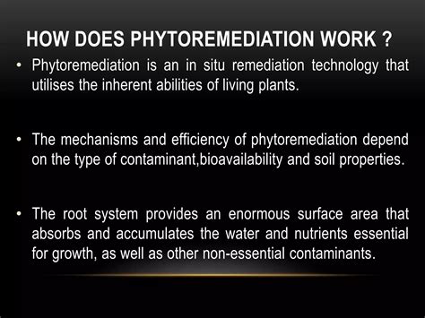 Phytoremediation Pptx