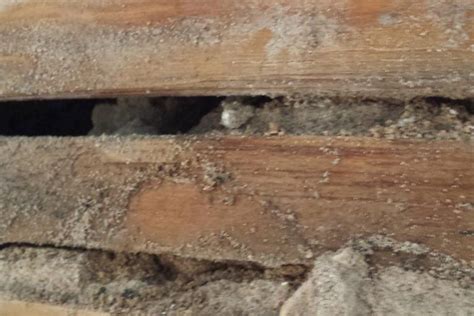 Traditional Build Internal Damp Proofing Sandstone Solutions