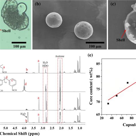 A Om Image Of Microcapsules Sem Micrographs Of Microcapsules B