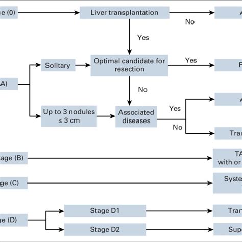 Treatment Algorithm For Hepatocellular Carcinoma Sbrt Stereotactic Download Scientific