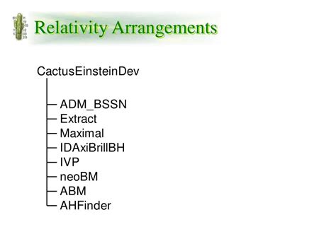 Ppt Cactus Relativity Tool Kit Powerpoint Presentation Free Download