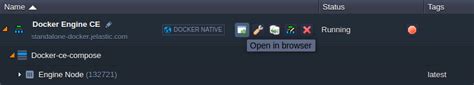 Connecting To Docker Engine And Its Management Within Jelastic PaaS DOCKTERA