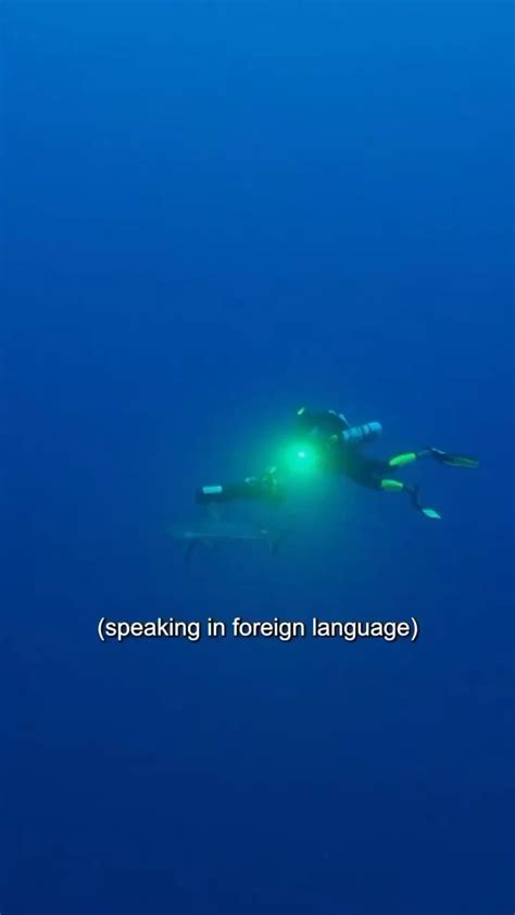 Why ‘redirecting Isnt A Real Skill For Divers Rsharklab