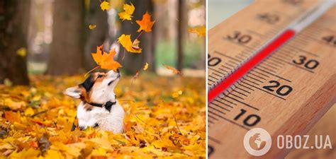 Прогноз погоди на 5 вересня погода в Україні сьогодні карта пожежної небезпеки