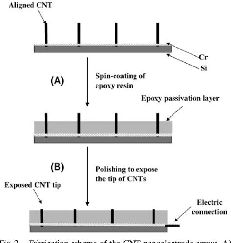 Figure 1 From Carbon Nanotubes Based Nanoelectrode Arrays Fabrication Evaluation And