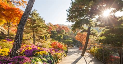 가을 정취 즐길 시간 초읽기…당일치기로 떠나는 수도권 단풍 명소 4
