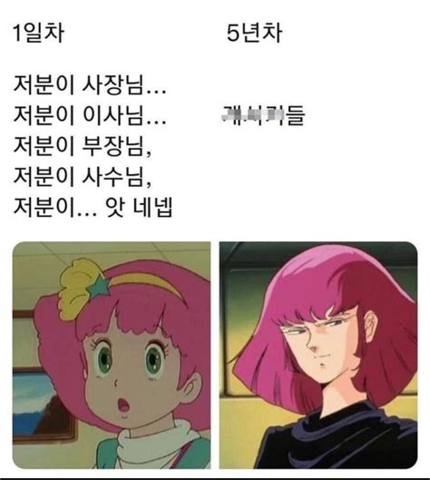 회사 신입과 5년차의 마음가짐 ㅋㅋㅋ