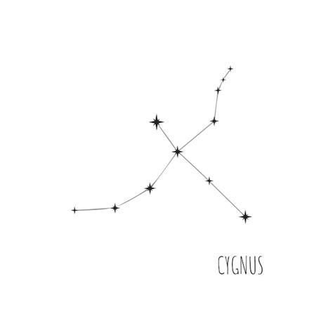 Cygnus Constellation