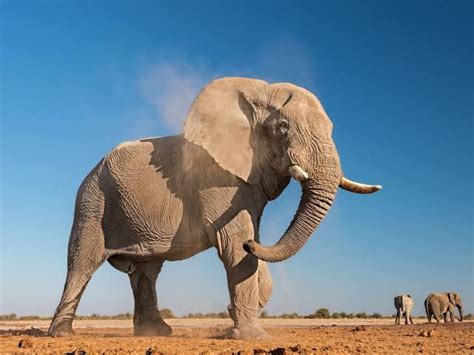 Hackathon Ai Computervision Elderlycare Innovation Runnerup