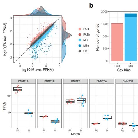 Differential Methylation Between M Persicae Asexual Female And Male Download Scientific