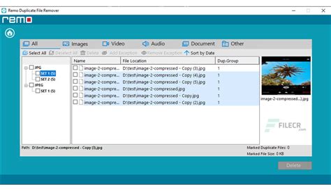 Remo Duplicate File Remover 10011 Download Filecr