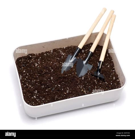 Plastic Box With Substrate Soil For Transplanting Houseplants Isolated