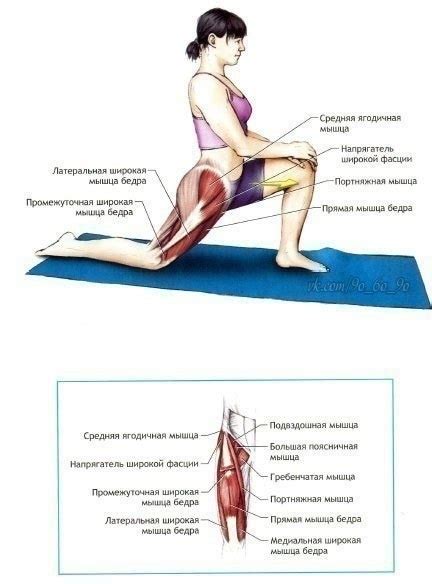 Упражнения на растяжку и гибкость