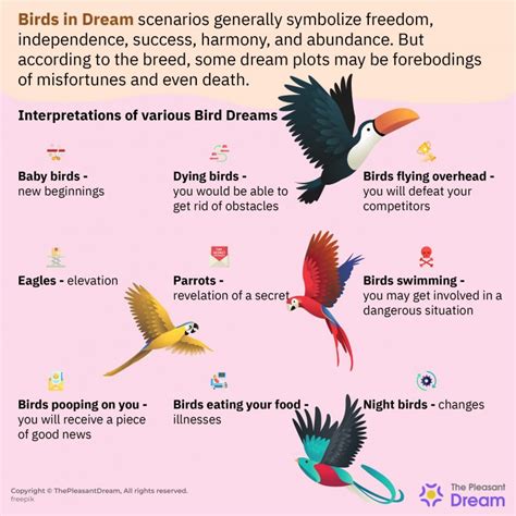 Dreaming Of Birds Is Something Stopping You From Being Free