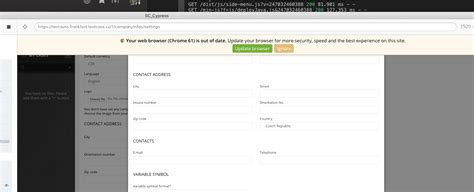 Typescript Cypress Alert Message When Running Electron Browser