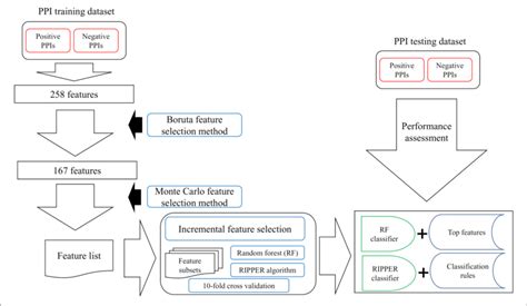 The Entire Procedures To Analyze Ppi Features With A Three Stage Download Scientific Diagram