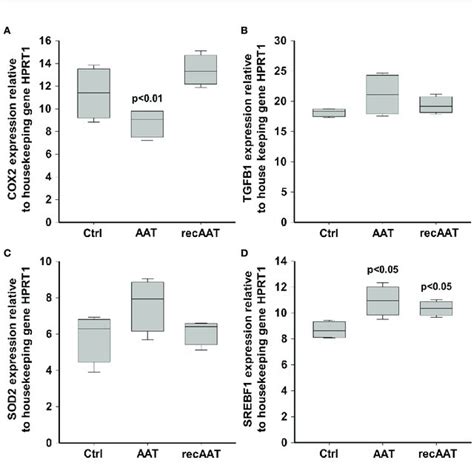 Effects Of Topically Applied 0 2 Mg Human Aat And Recaat On Gene Download Scientific Diagram