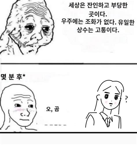 내 삶을 설명해 주는 짤 오 곰 드조 minrangdan57