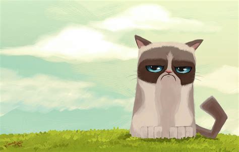Cartoon Cat Wallpapers Wallpaper Cave