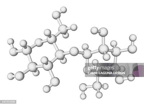 Lactase Enzyme Structure