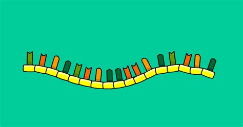 Stated Clearly What Is The RNA World Hypothesis