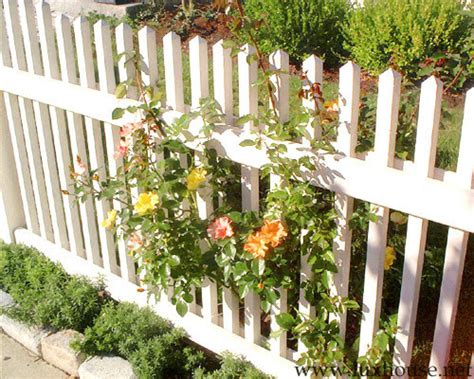 Budka ხეებიხის ღობე დროს აგარაკზე