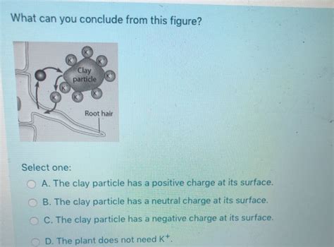 solved what can you conclude from this figure clay particle