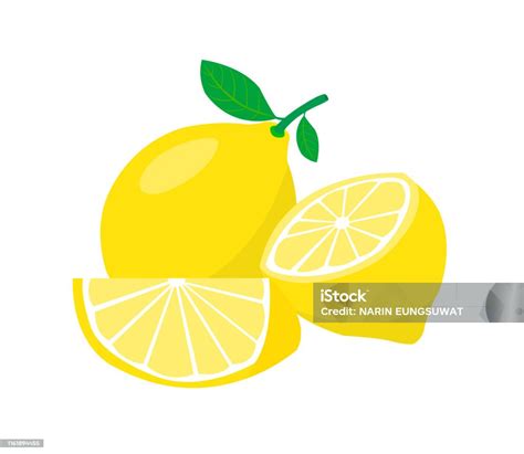 흰색 배경에 고립 레몬 레몬 벡터는 흰색 배경에 절반을 잘라 0명에 대한 스톡 벡터 아트 및 기타 이미지 0명 감귤류 과일 개체 그룹 Istock