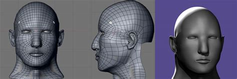 Edge Loops On Face Head Models Modeling Blender Artists Community