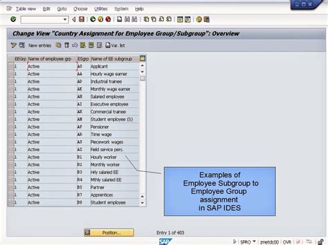 青蛙sap分享 Froggys Sap Sharing Sap Hcm Enterprise Structure Employee Group And Employee Subgroup