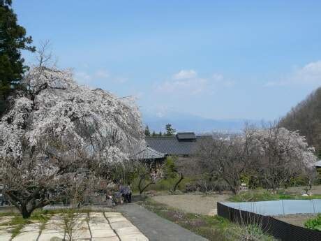 西楽寺 長野県長野市 日本隅々の旅 全国観光名所巡りグルメ日記