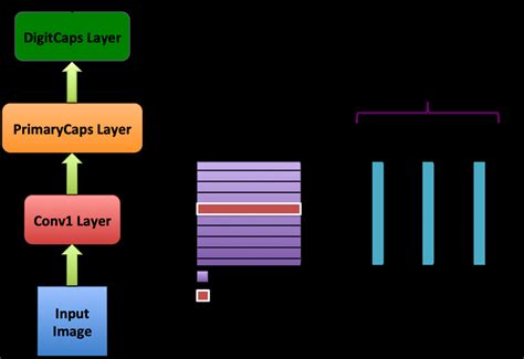 left three layer capsnet architecture adapted from sabour et al [7